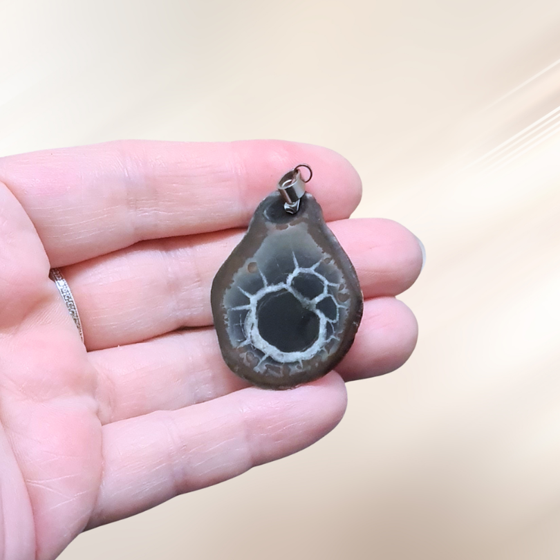 Collection Septaria – ENAE Minéraux